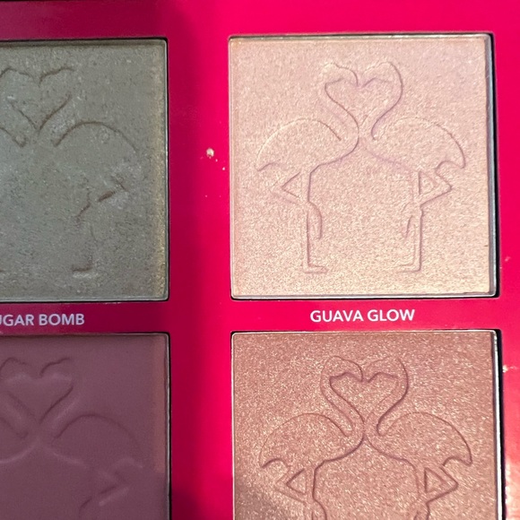 Shaina B. | Makeup | Nib Shaina B Miami Blush And Highlight Palette ...